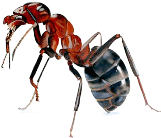 MARIE ANDREWS HUW DEKOK BLACKMAILED JUDGES PAUL LAMBERT SHEELAGH BROWN ...